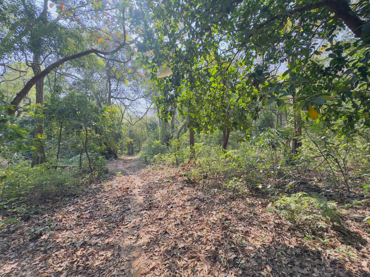 River Touch Agriculture Farm Land For Plantation in Goa For Sale | Hans ...